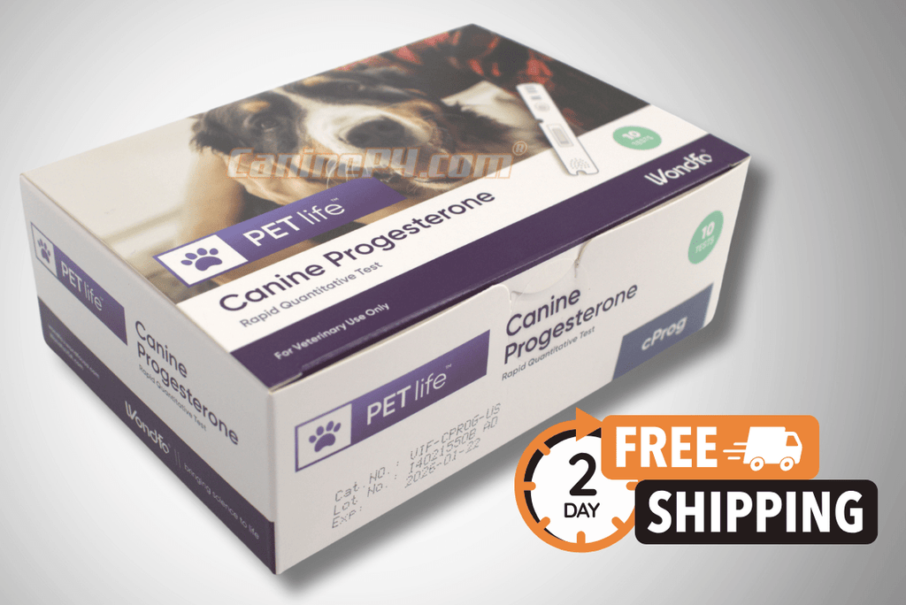 Dog Progesterone Test – CanineP4.com