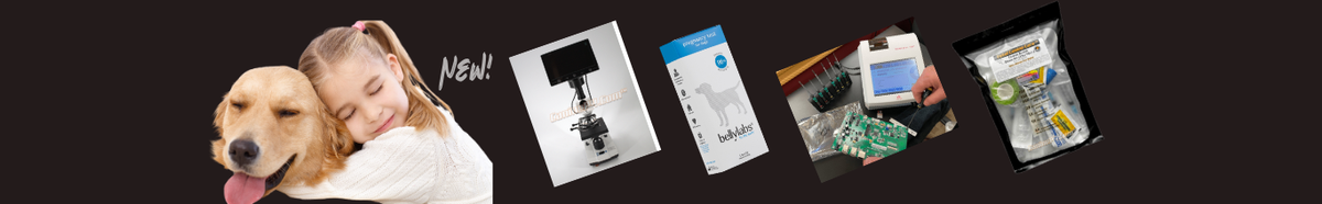 Progesterone Test for Dogs at Home , Test kits, and Supplies – CanineP4.com