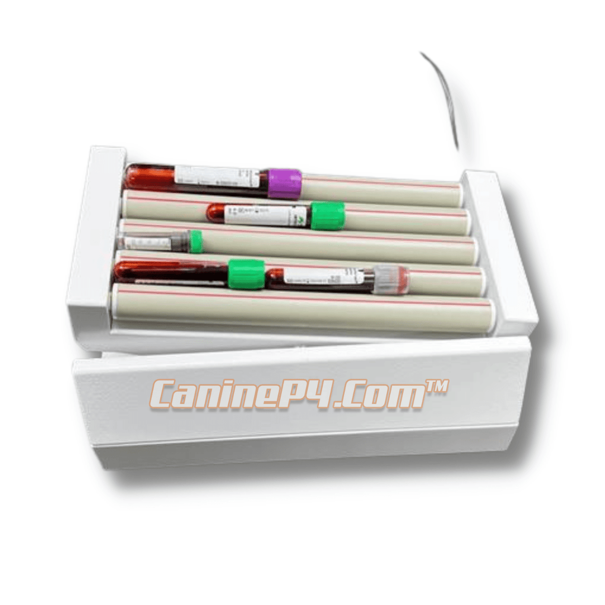 Purpose Blood Rocker