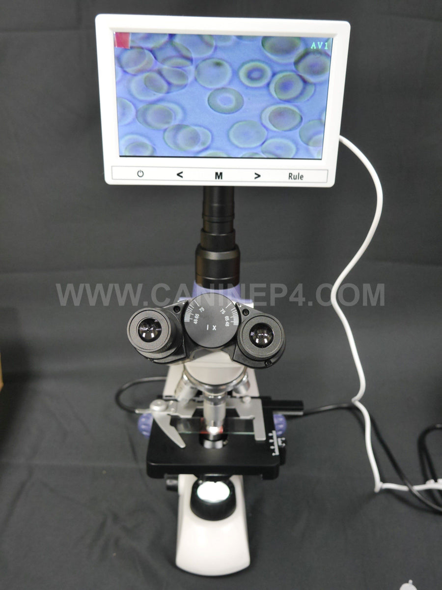 Canine Semen Analysis Microscope Dual Screen & Binocular
