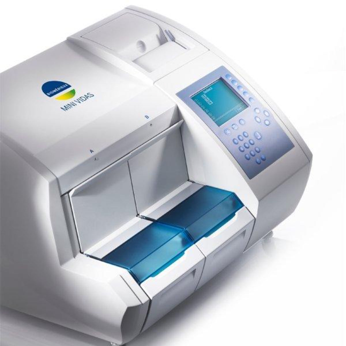 Mini Vidas Blue for Sale – CanineP4.com